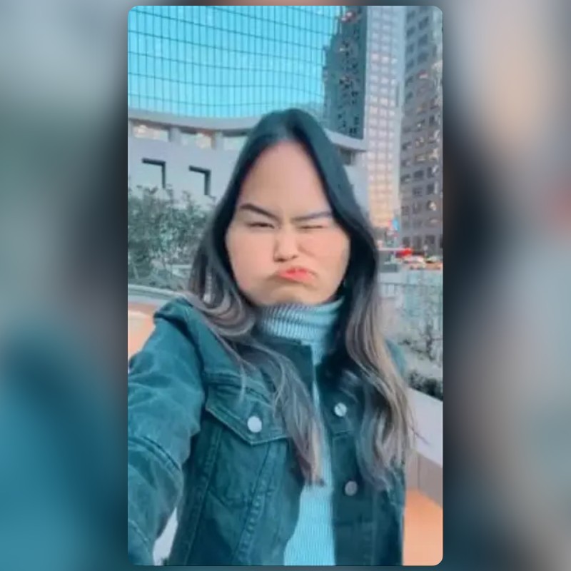 Face Warp Filter by Mike Berry | Snapchat Lenses