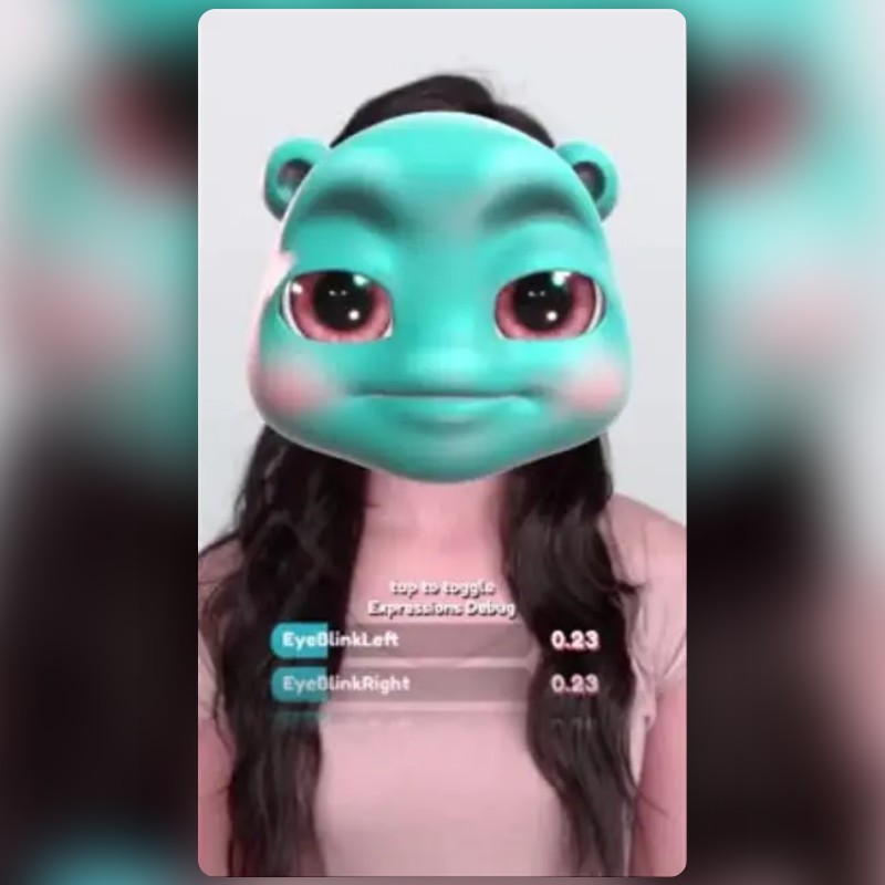 Face Expressions Lens by Ritakshi - Snapchat Lenses and Filters