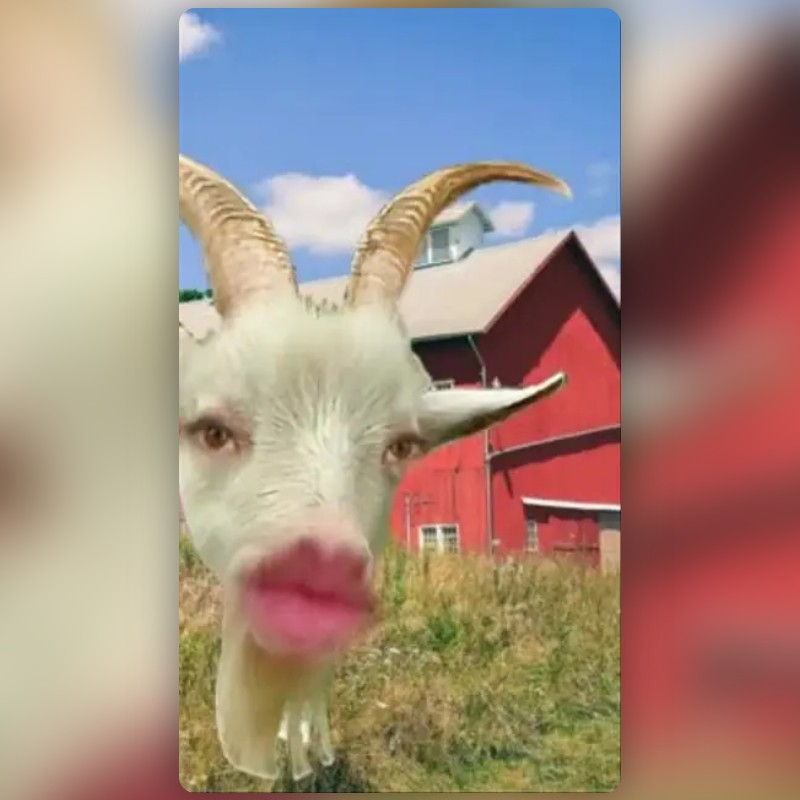 Funny Goat Face Lens by Danielle Grace - Snapchat Lenses and Filters