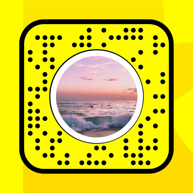 driver license Filter by Snapchat | Snapchat Lenses