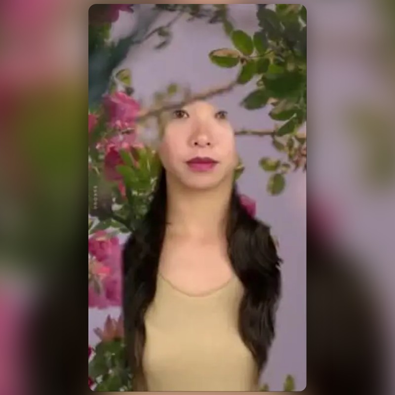 aesthetic Lens by Sakshi singh - Snapchat Lenses and Filters