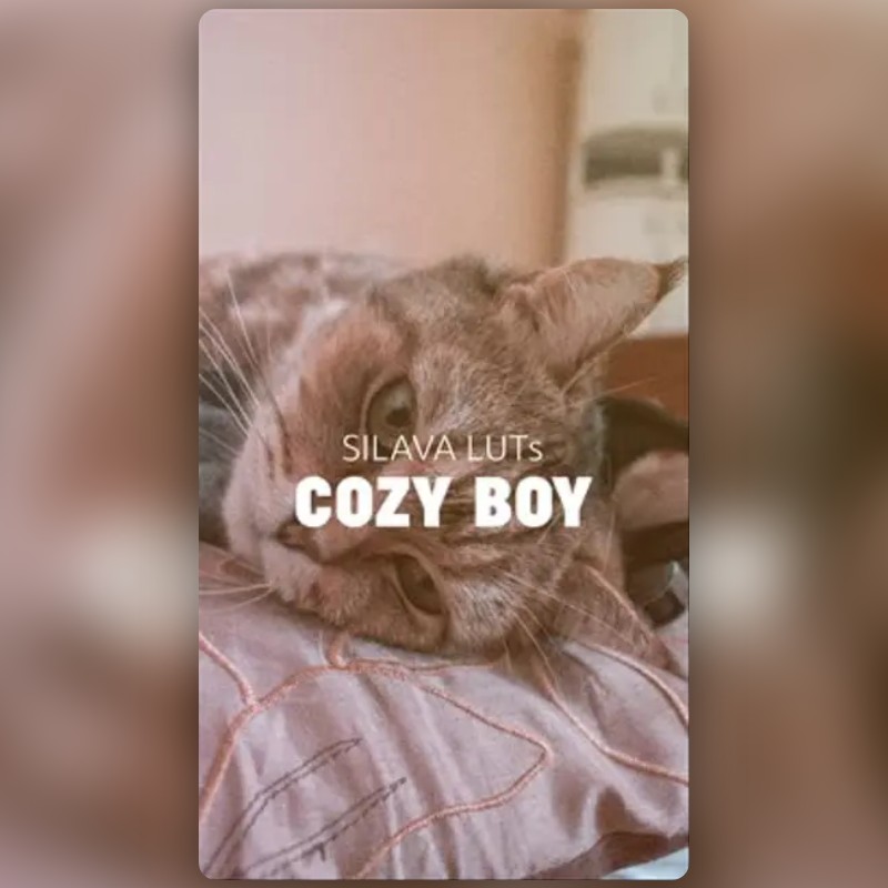 Cozy Boy Filter by Eliass Valters | Snapchat Lenses