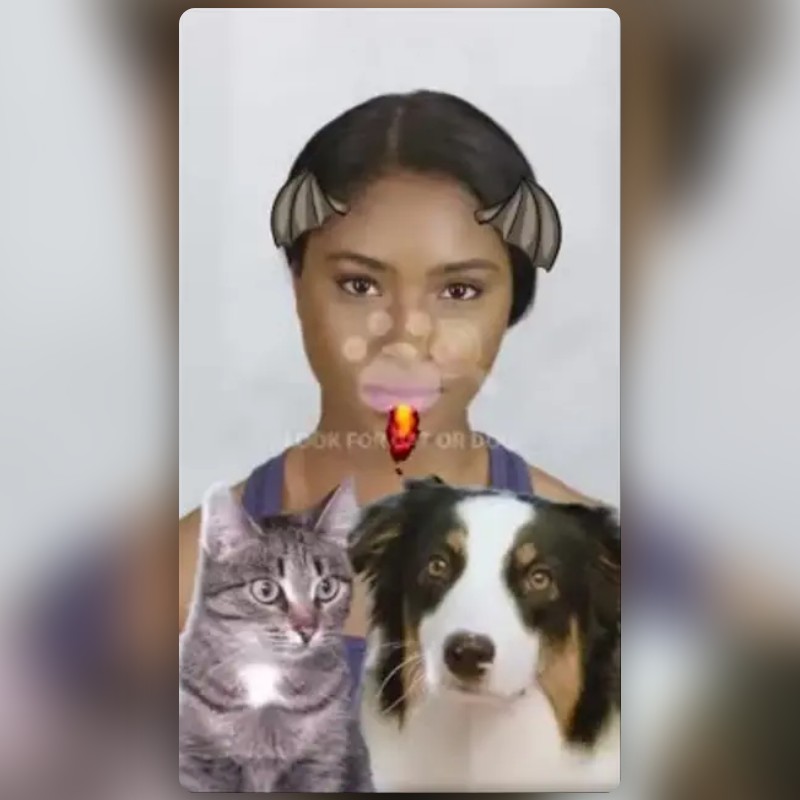 Pet dragon Filter by Reinhard19 🦊 | Snapchat Lenses