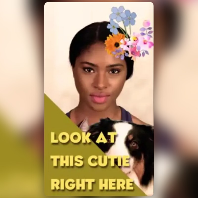 cutie Filter by vino | Snapchat Lenses
