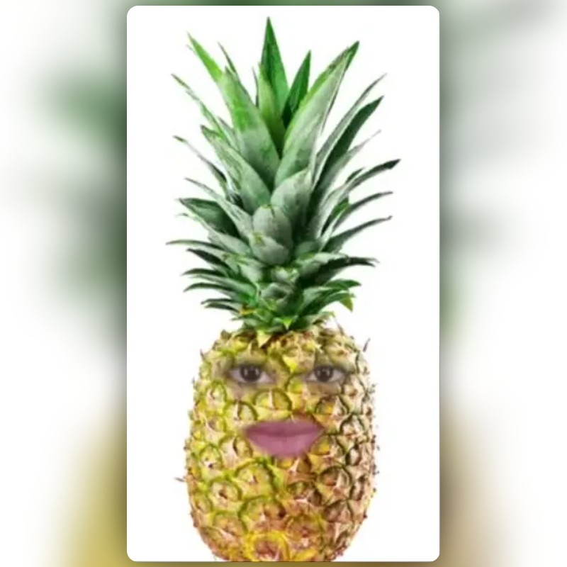 Talking Pineapple Lens by Nortendo - Snapchat Lenses and Filters