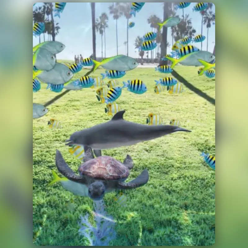 Underwater World Filter by Snapchat | Snapchat Lenses