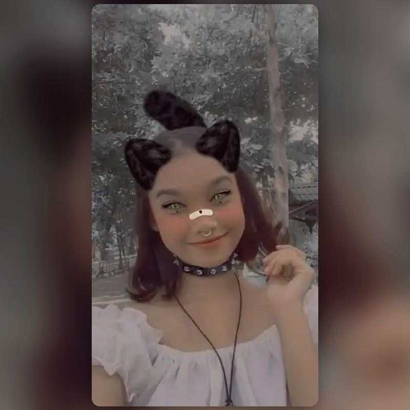 Cool Cat Style 🐈‍⬛ Filter by Snapchat | Snapchat Lenses