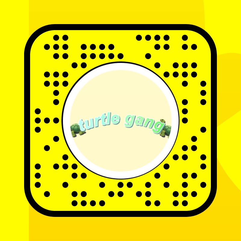 turtle gang Lens by inactive :3 - Snapchat Lenses and Filters