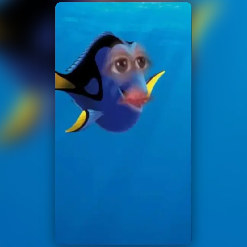 Dory Face Lens by Danielle Grace - Snapchat Lenses and Filters