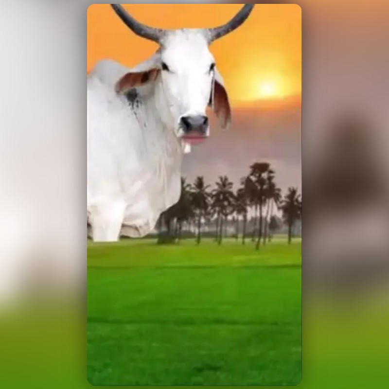 holy cow Lens by Reinhard19 🦊 - Snapchat Lenses and Filters