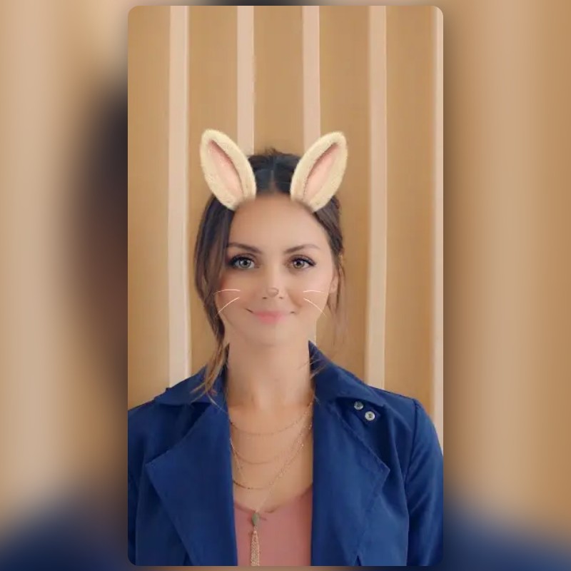 Fluffy Rabbit Filter by Snapchat | Snapchat Lenses