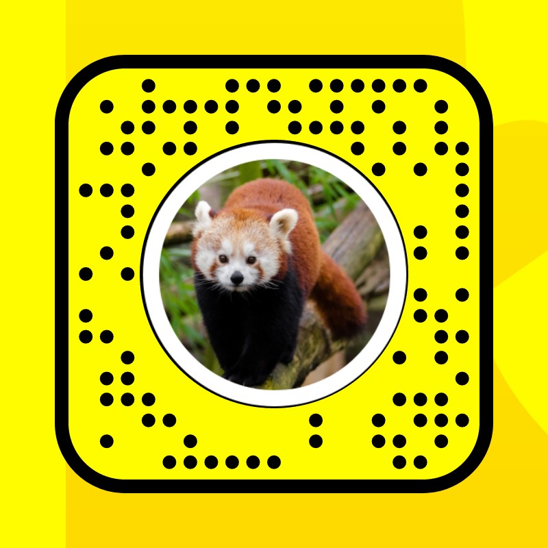 What Animal Lens by Edvin Callheim - Snapchat Lenses and Filters