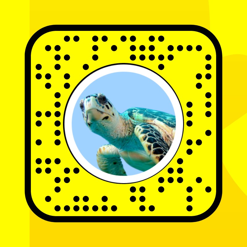 Turtle Lens by Taylah McCormick - Snapchat Lenses and Filters