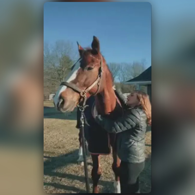 green tea Filter by ava | Snapchat Lenses