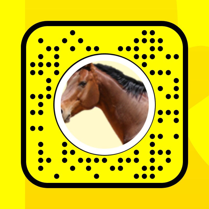 horse on head Lens by owen dadds - Snapchat Lenses and Filters