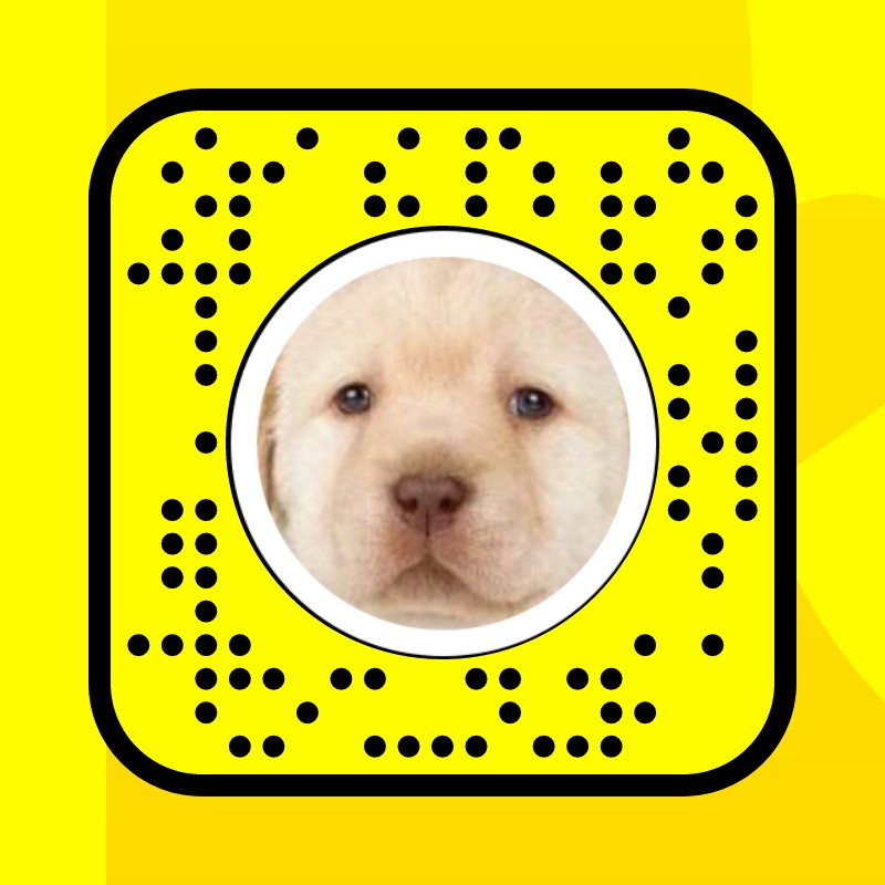 Quieres meme Lens by Olivia 😎🥱👹 - Snapchat Lenses and Filters