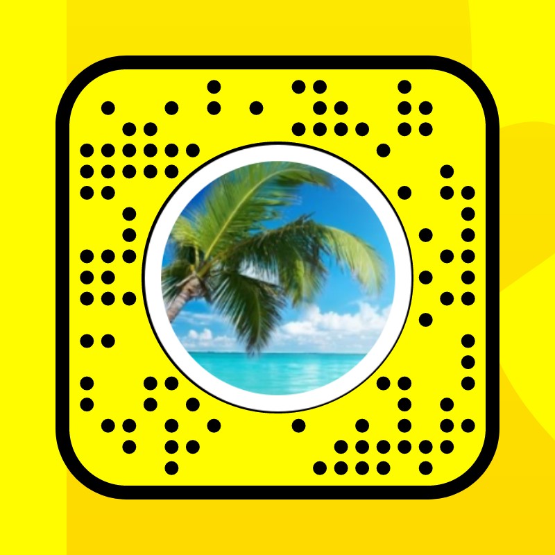 Aloha Lens by Dilpreet Bhogal - Snapchat Lenses and Filters