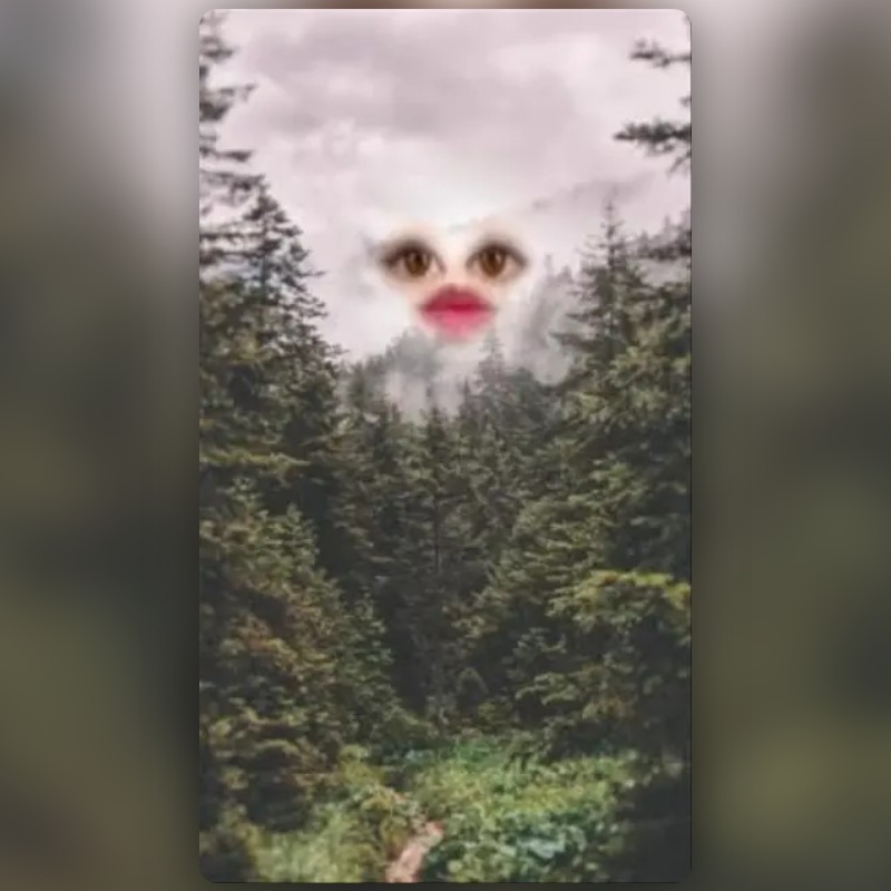 Middle of jungle Filter by Danielle Grace | Snapchat Lenses