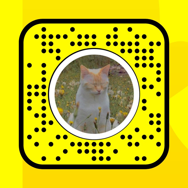 เลนส์ cottage core สร้างโดย . - เลนส์และฟิลเตอร์ Snapchat