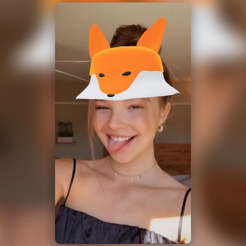 fox hat Filter by adem 🛸 | Snapchat Lenses