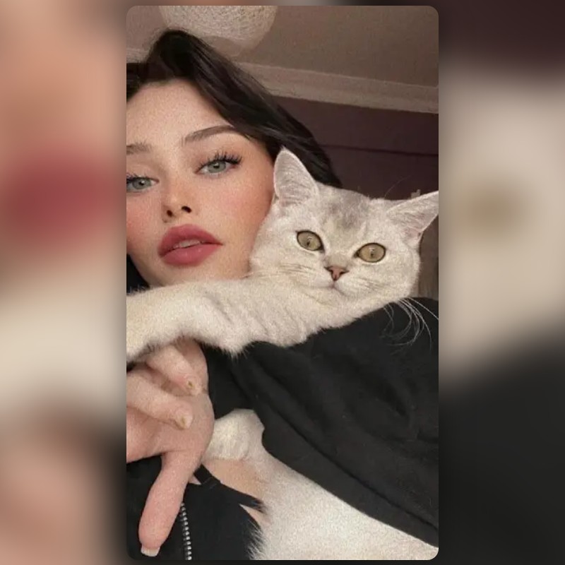 KiTTY Grain Lens by Naif.F |📸🍂 - Snapchat Lenses and Filters