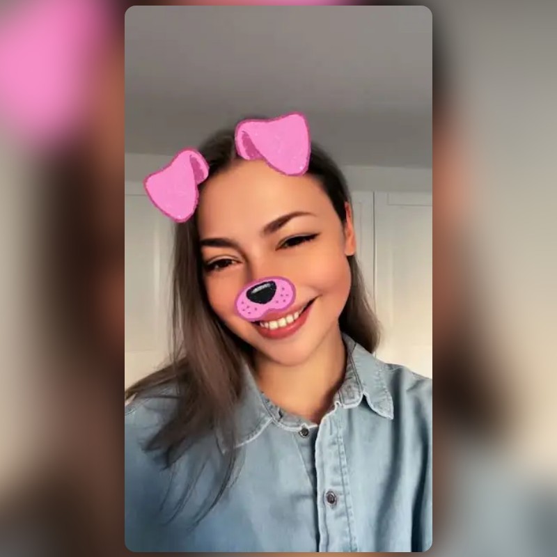 Pink Cartoon Dog Filter by Snapchat | Snapchat Lenses