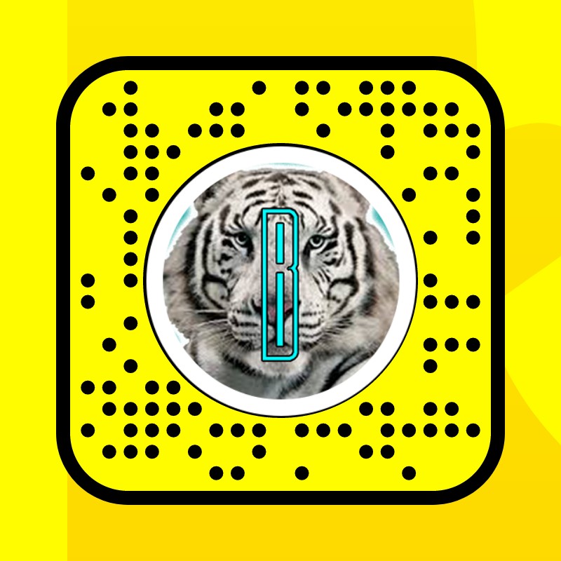 Begovic tiger Filter by Brat 🏴‍☠️ | Snapchat Lenses