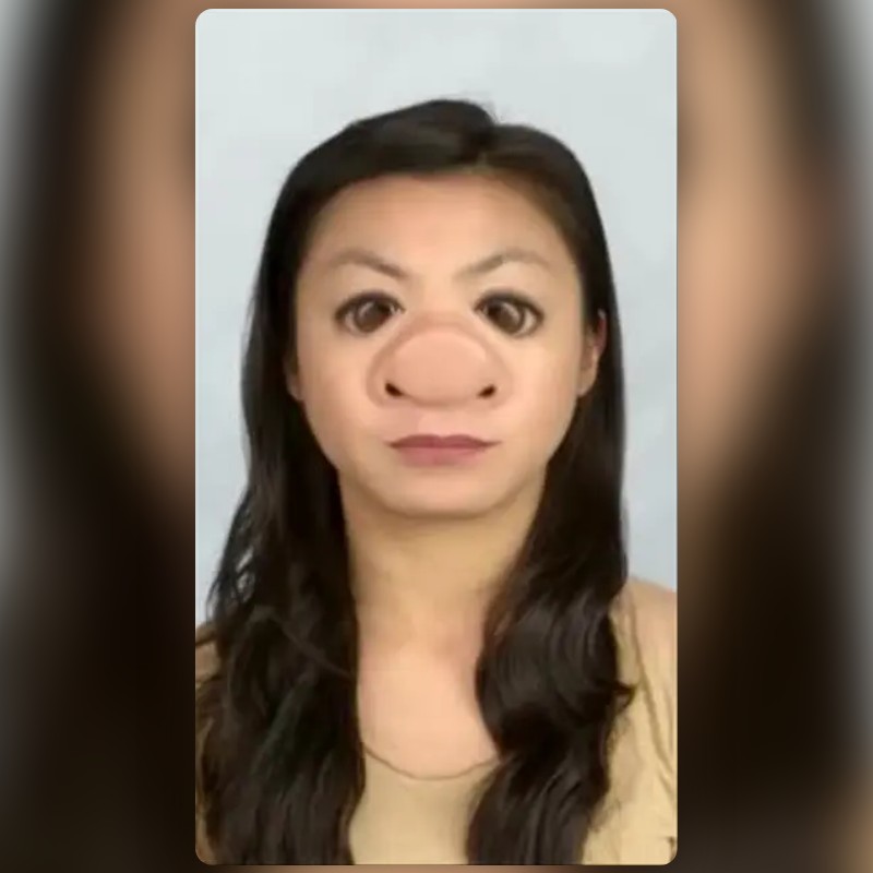 Peppa Pig Lens by mads - Snapchat Lenses and Filters