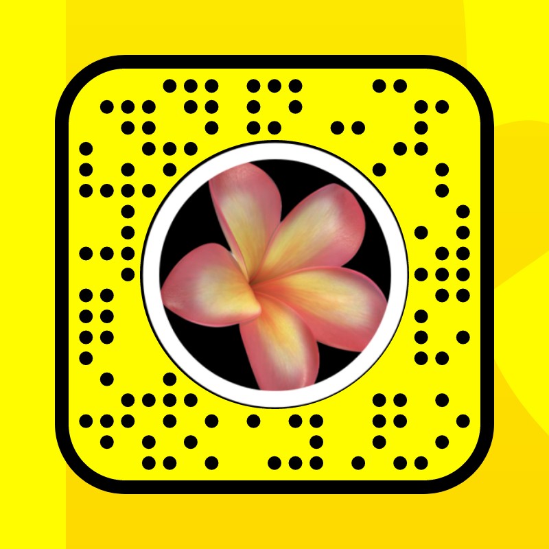 Flower Filter by Maria Lvr | Snapchat Lenses
