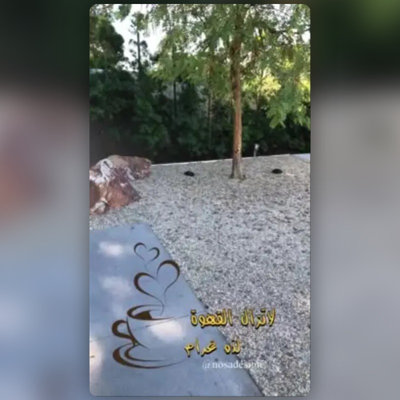 coffee Filter by ‎﮼فلاترر،النوفي | Snapchat Lenses