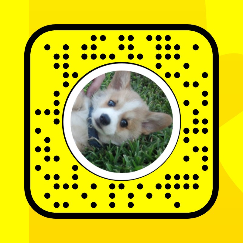 cute puppy Lens by Jack Beers - Snapchat Lenses and Filters