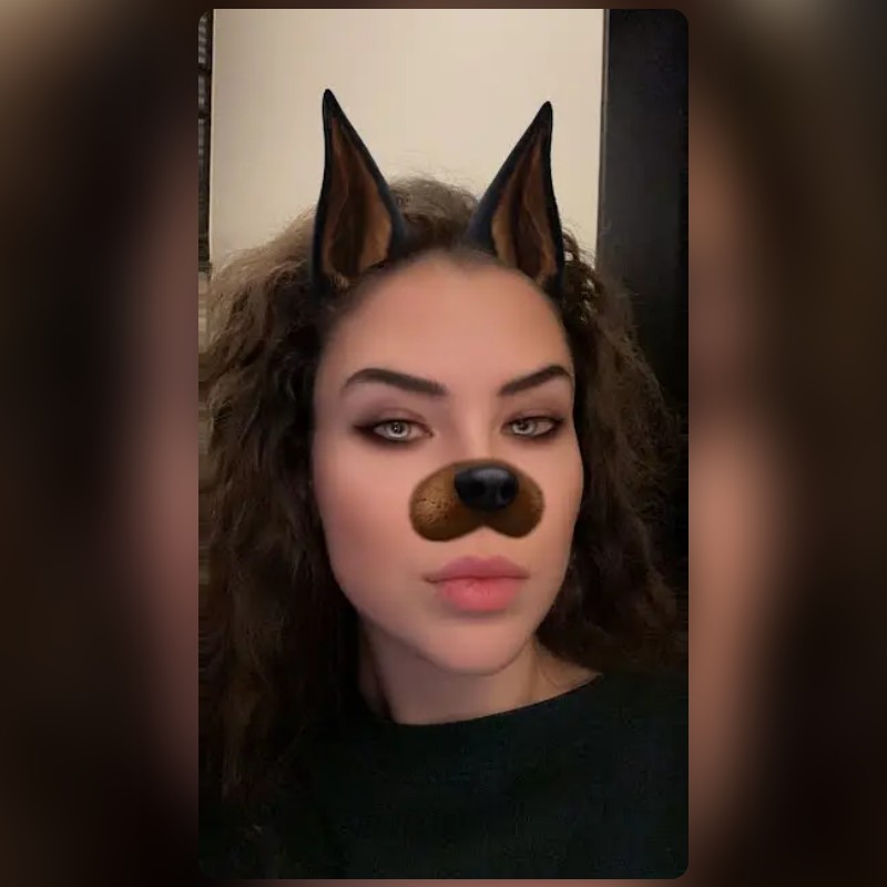 Doberman Ears Filter by Snapchat | Snapchat Lenses