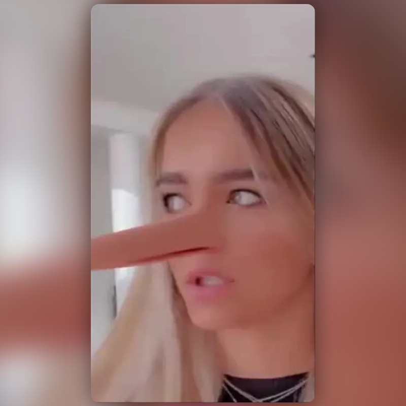 Long Nose Filter by BYE BYE FOREVER 💔 | Snapchat Lenses