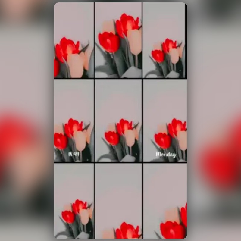 Tulip Flowers Filter by Guru Lens ️ | Snapchat Lenses