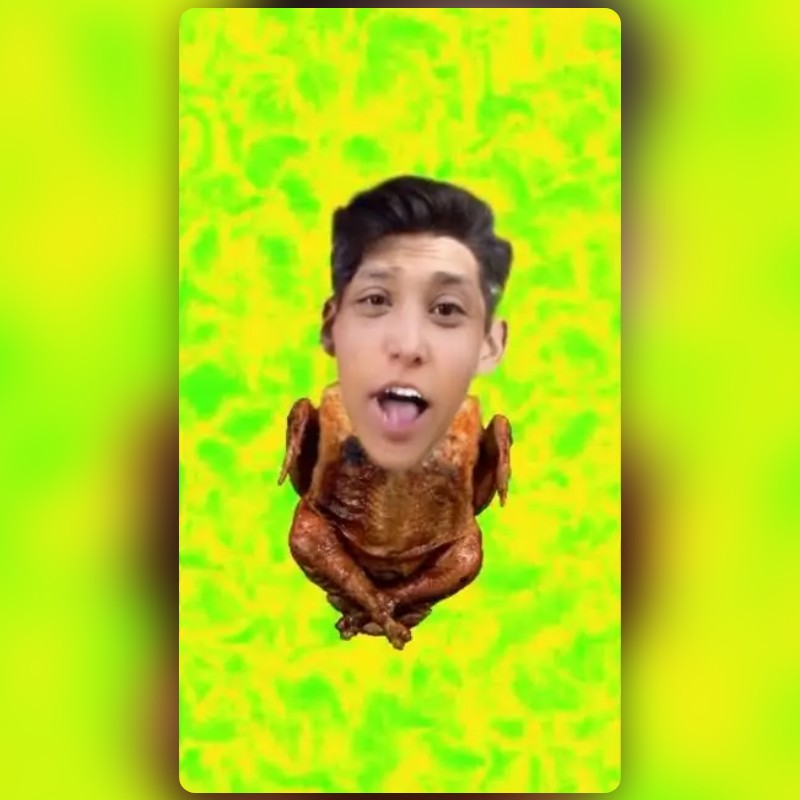 Flying Turkey Filter by Snapchat | Snapchat Lenses