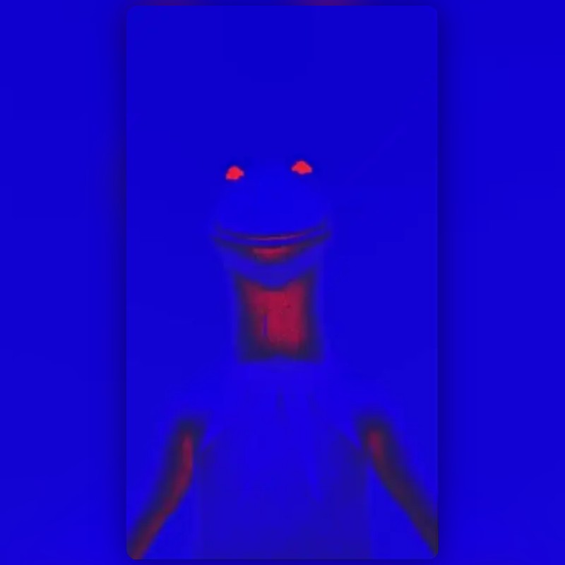 Frog Puppet Filter by Phil Walton | Snapchat Lenses