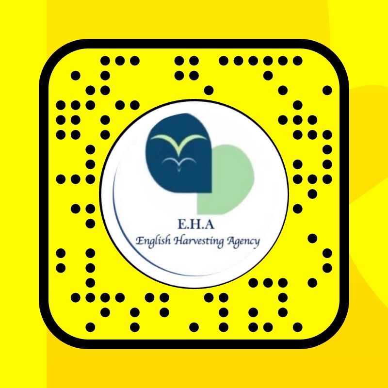 เลนส์ ksa สร้างโดย ‏روان الـعـنزي - เลนส์และฟิลเตอร์ Snapchat