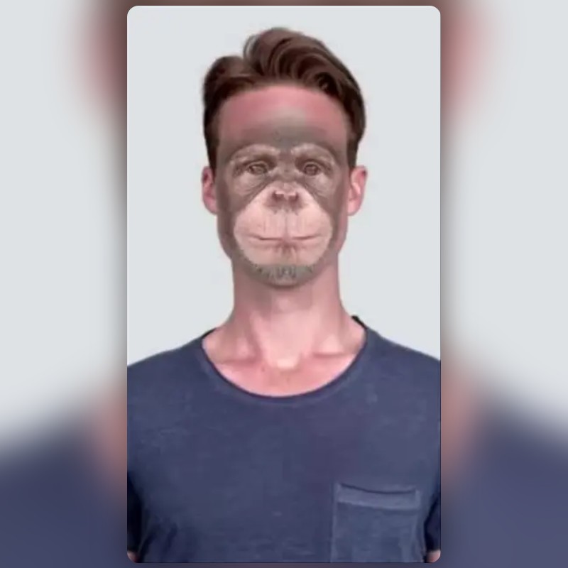 monkey Filter by Luis Serra | Snapchat Lenses
