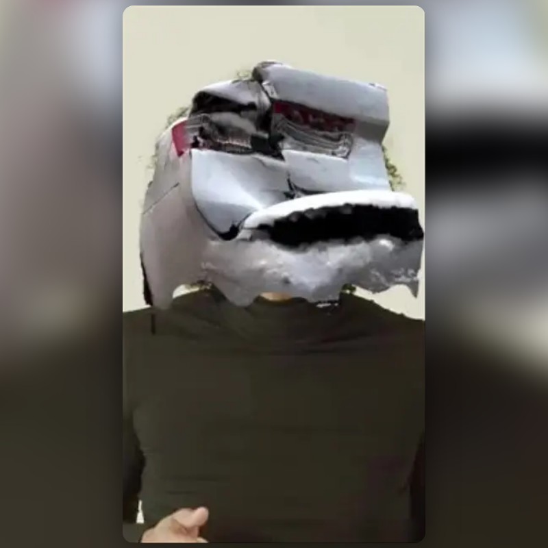 Crash-Face Lens by Stella Stow - Snapchat Lenses and Filters