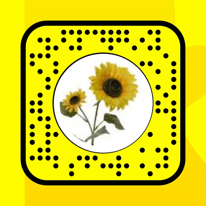 sunflower Lens by Barbara - Snapchat Lenses and Filters