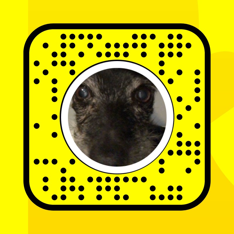 Jacky poo Filter by Michela Gardner | Snapchat Lenses