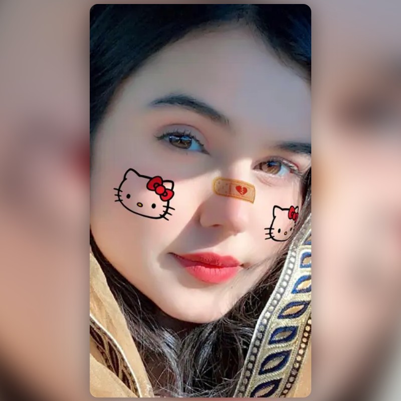 Hey Kitty Filter by Sunny Bahadurpuria🎥 | Snapchat Lenses