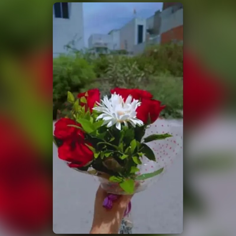 Flowers Lens by Snapchat - Snapchat Lenses and Filters