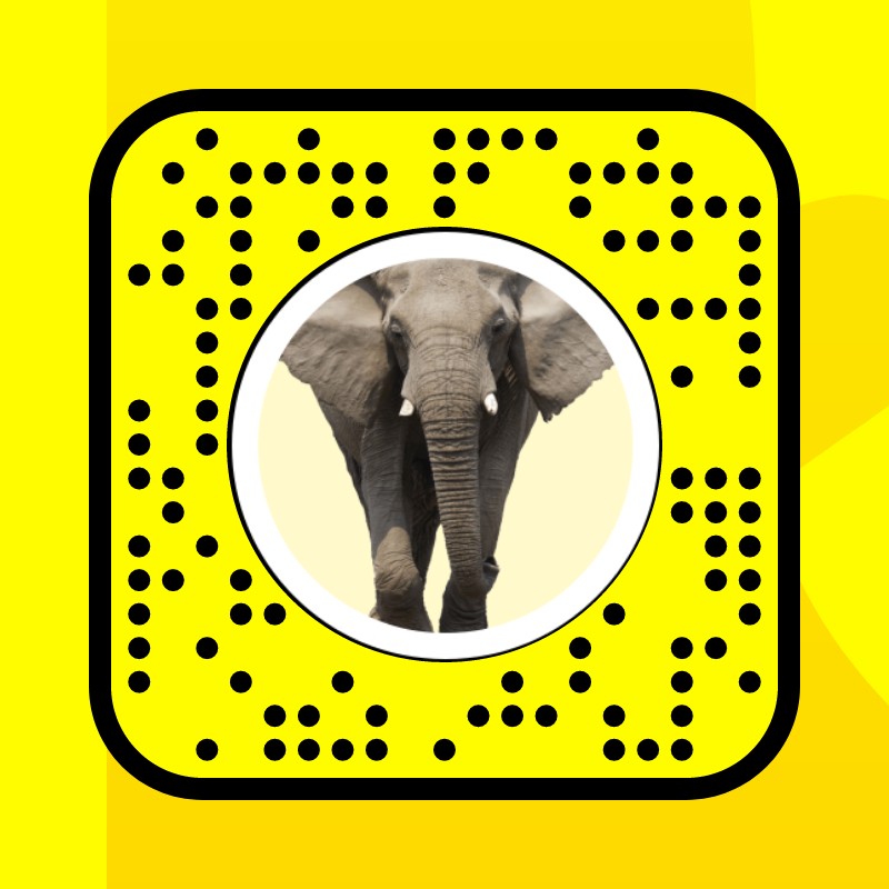 save animals Lens by Sukriti - Snapchat Lenses and Filters