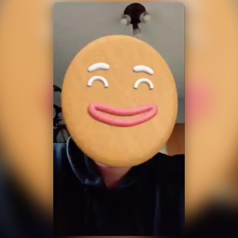 Gingerbread Face Filter by Selva By Aleph | Snapchat Lenses