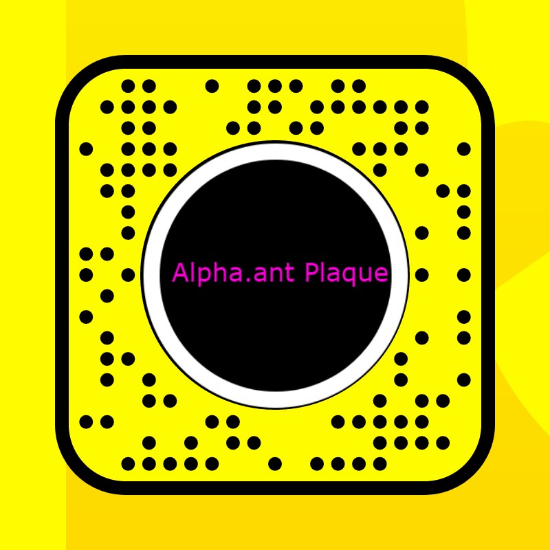 Alphaant Plaque Lens by T 🤍 - Snapchat Lenses and Filters