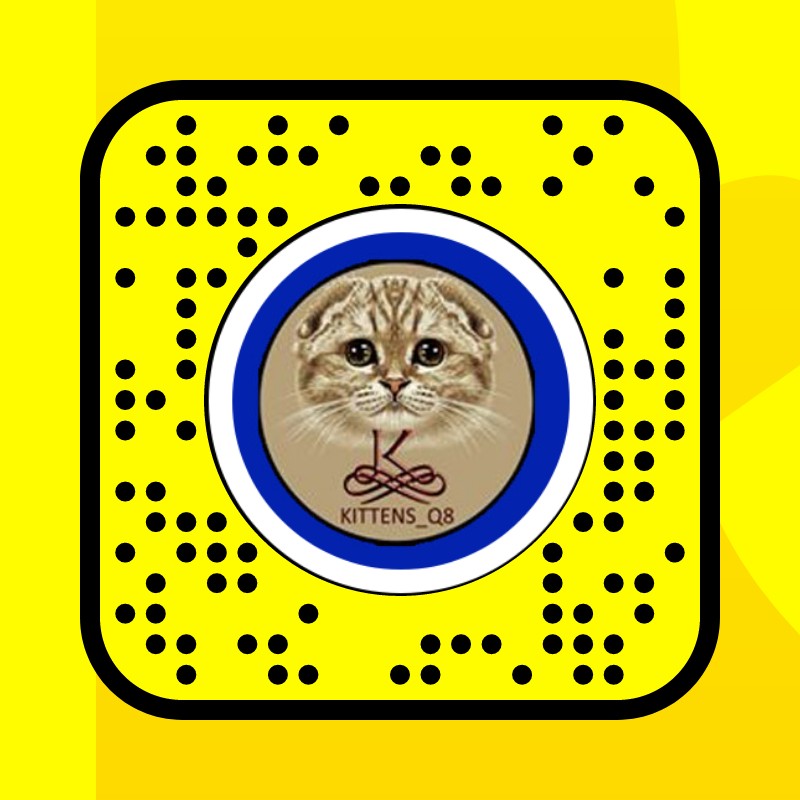 cat Filter by filters . q8👻 | Snapchat Lenses