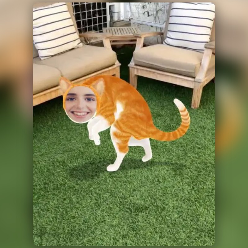 Funny Cat Filter by Snapchat | Snapchat Lenses