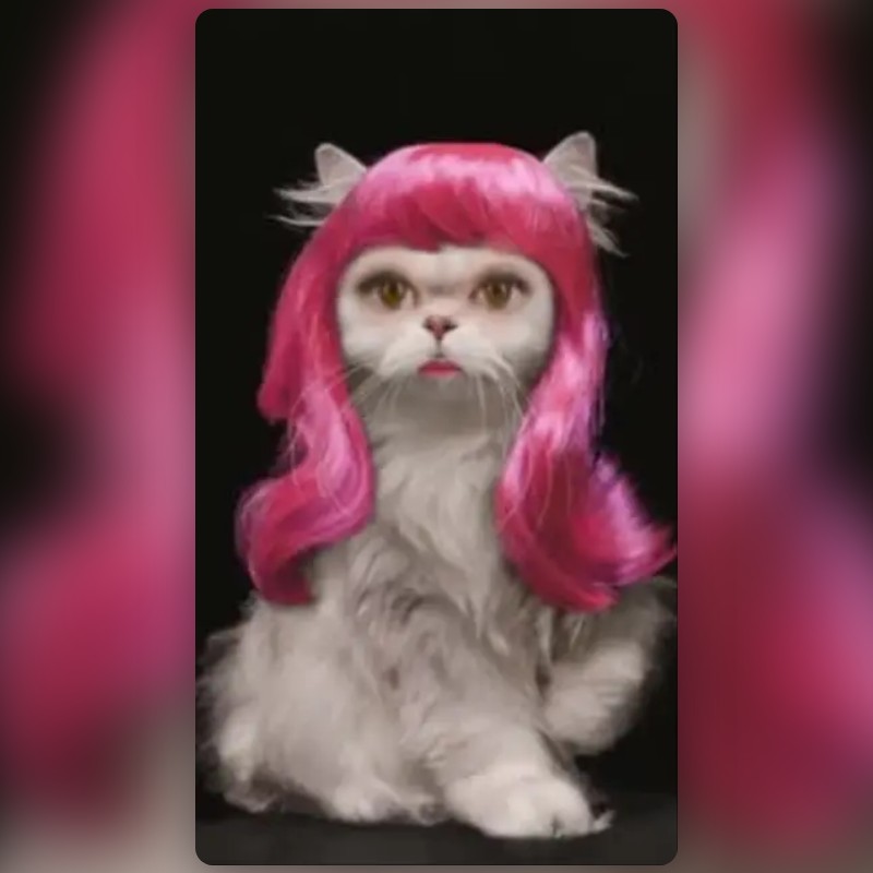 cat with wig pink Filter by Queeny | Snapchat Lenses