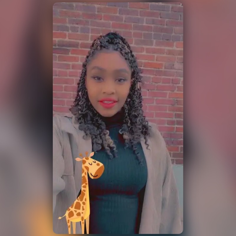 Cute Giraffe 🦒 Filter by Snapchat | Snapchat Lenses
